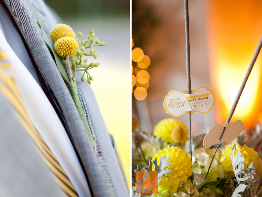 Nutter - Laura's Focus Photography