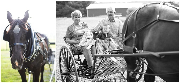 Munsey Family | Bland Virginia Family Photography