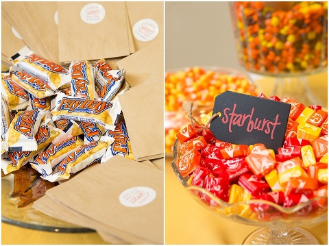 Megan & Byron Married | German Club Manor Blacksburg Virginia Wedding ...